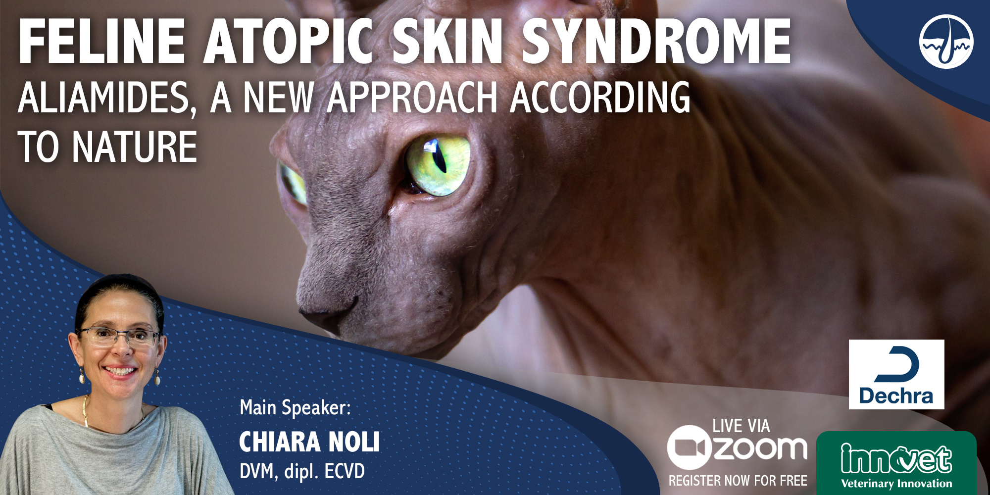 Feline atopic skin syndrome: ALIAmides as a new approach according to ...
