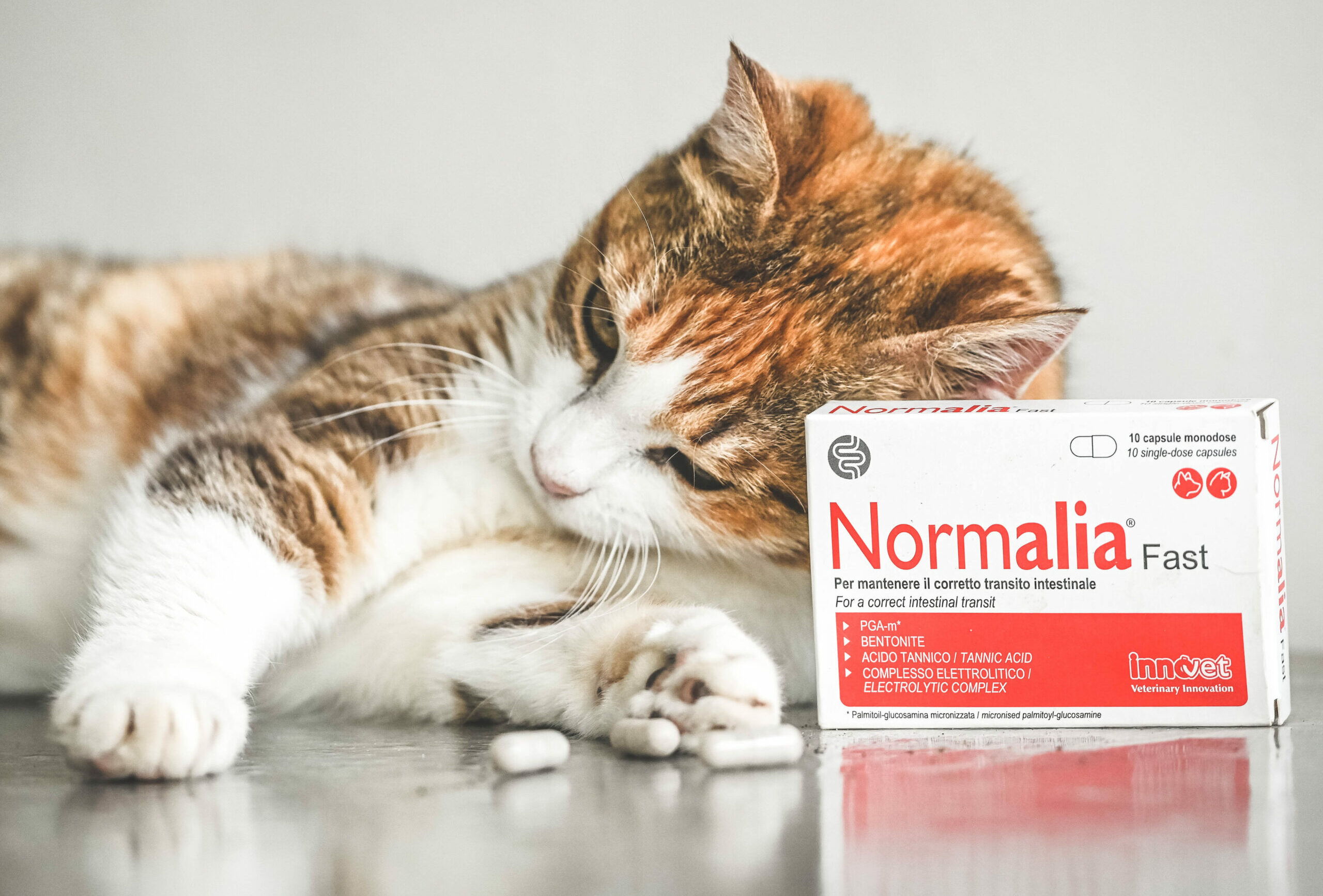 NORMALIA® FAST: IL PRIMO INTERVENTO PER UN INTESTINO IN EQUILIBRIO